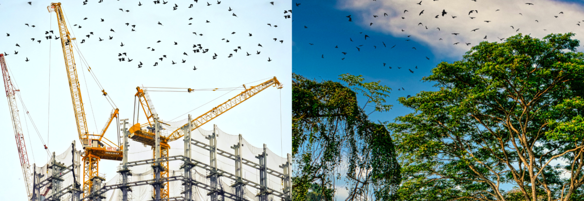 Nature Strategy Handbook | Now For Nature