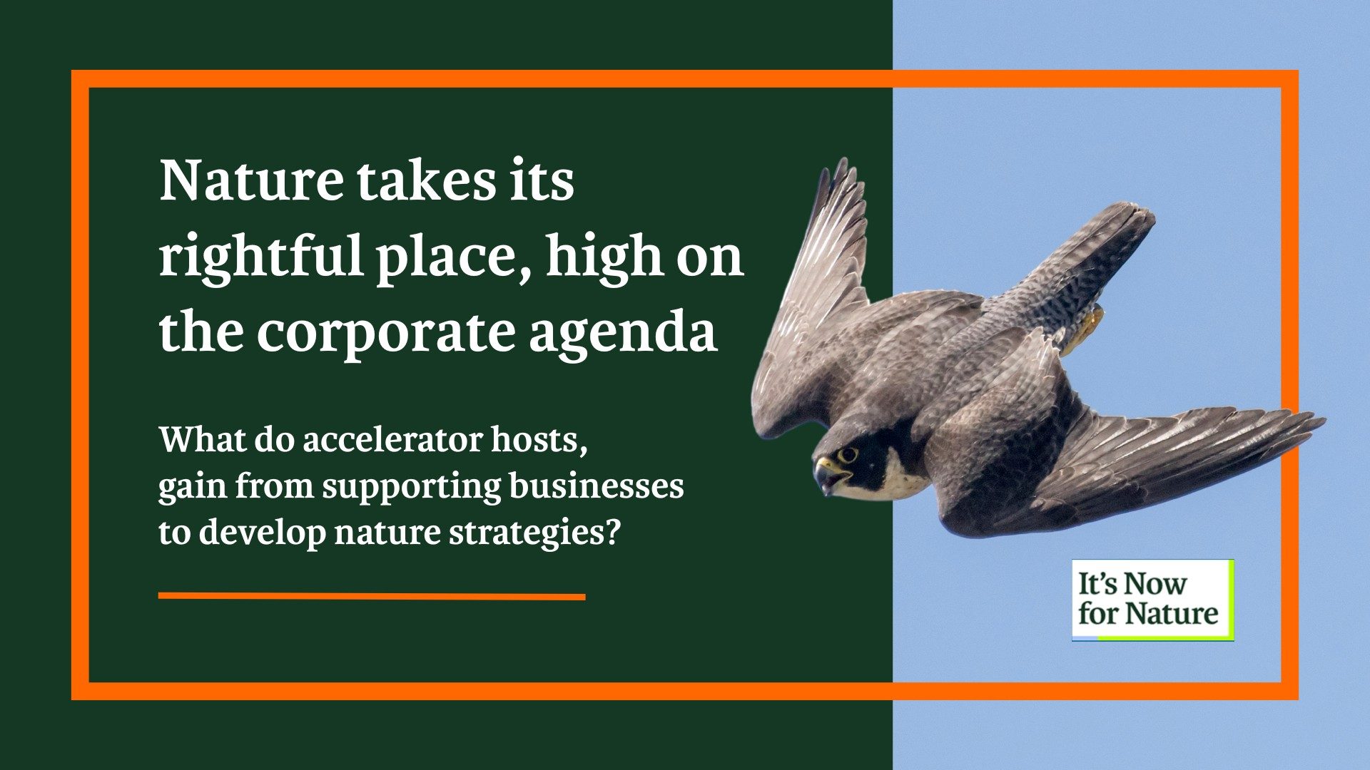Nature takes its rightful place, high on the corporate agenda | Now For ...