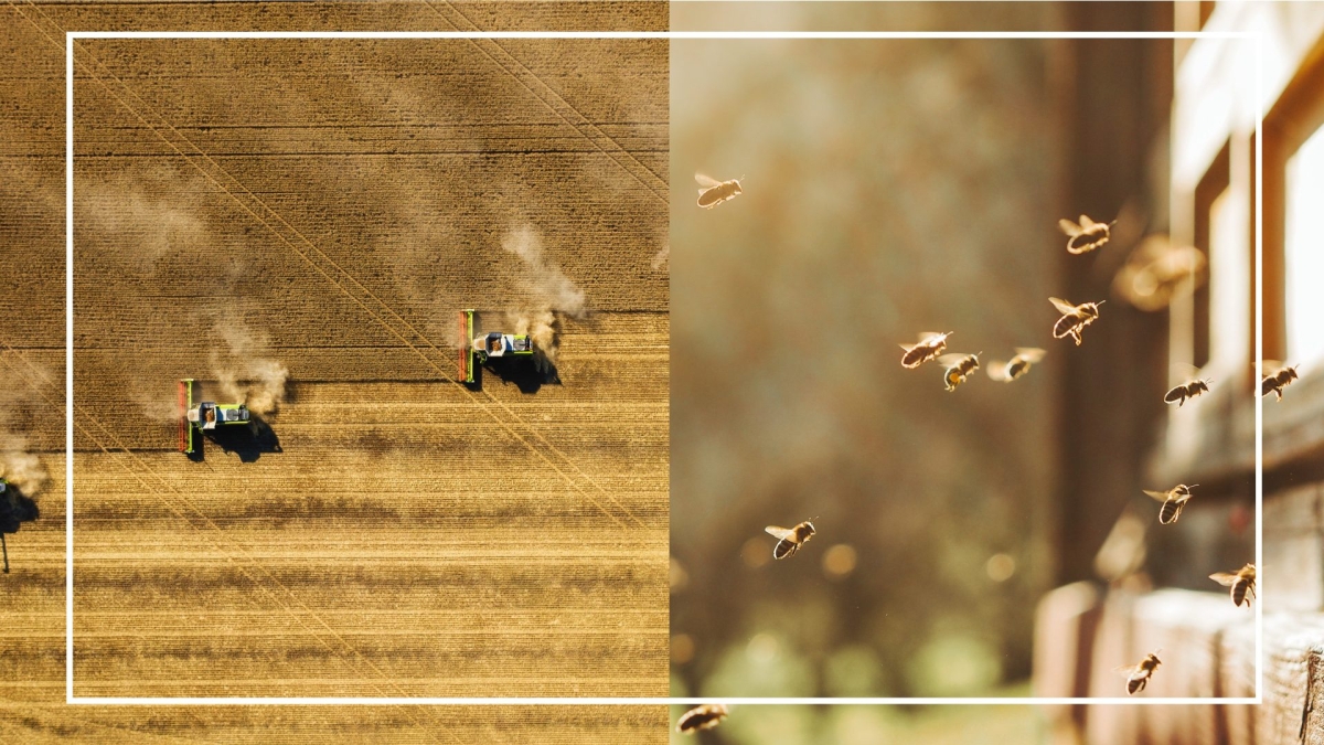 Nature Strategy Handbook | Now For Nature