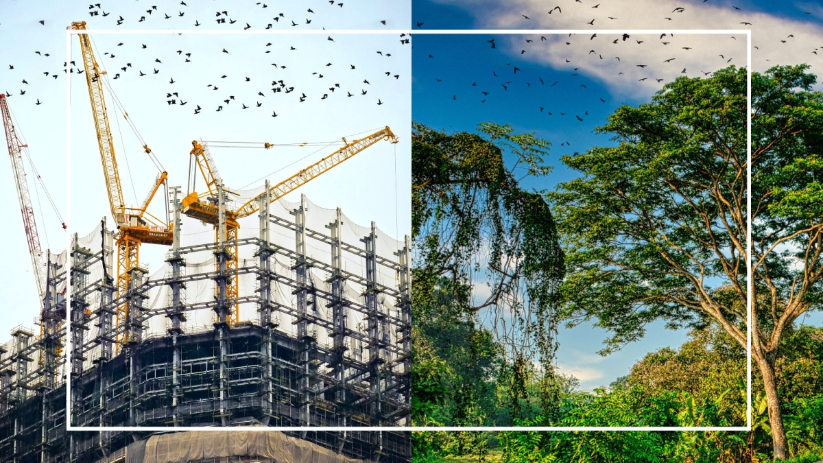 Nature Strategy Handbook | Now For Nature