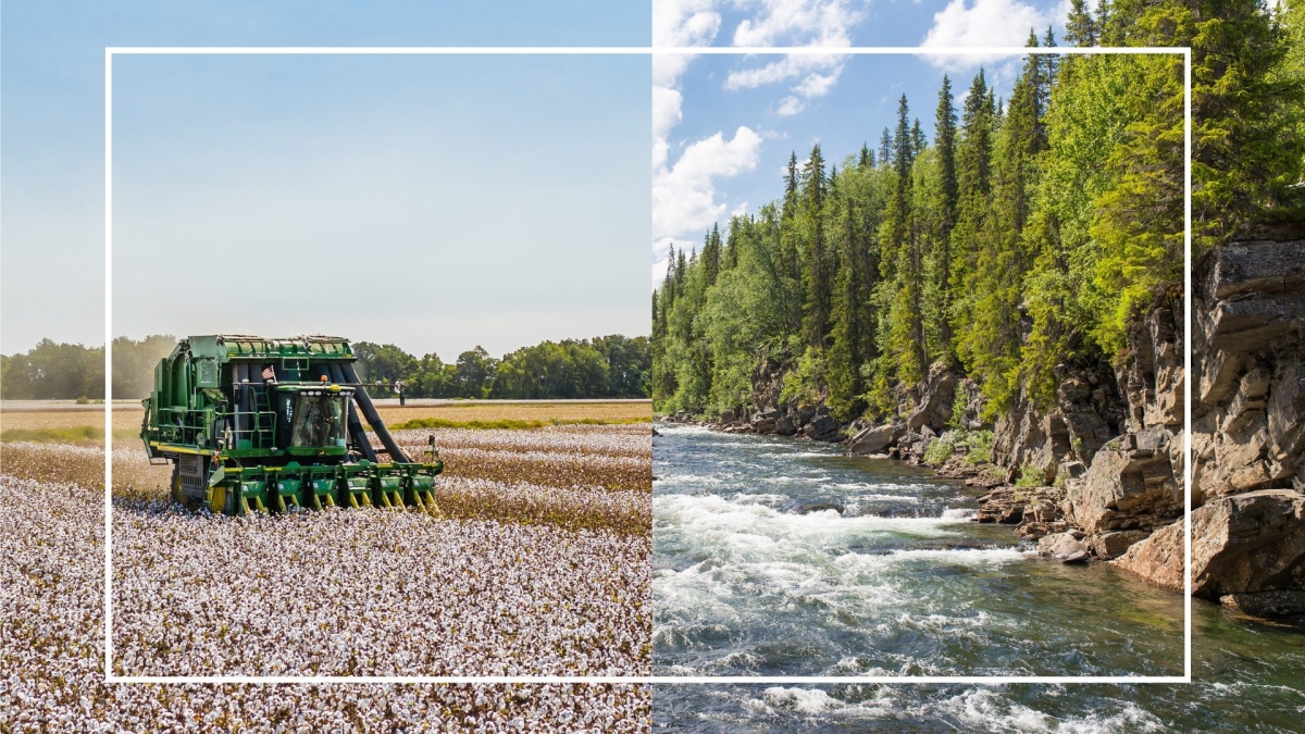 Nature Strategy Handbook | Now For Nature