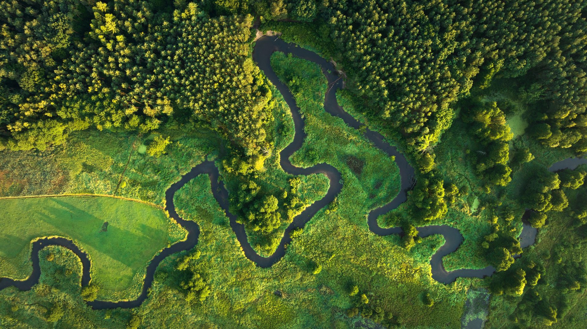 Ten reasons why a strategy for nature makes perfect business sense ...