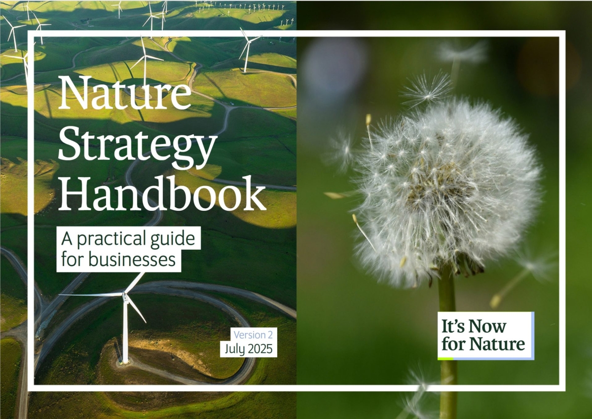 Nature Strategy Handbook | Now For Nature